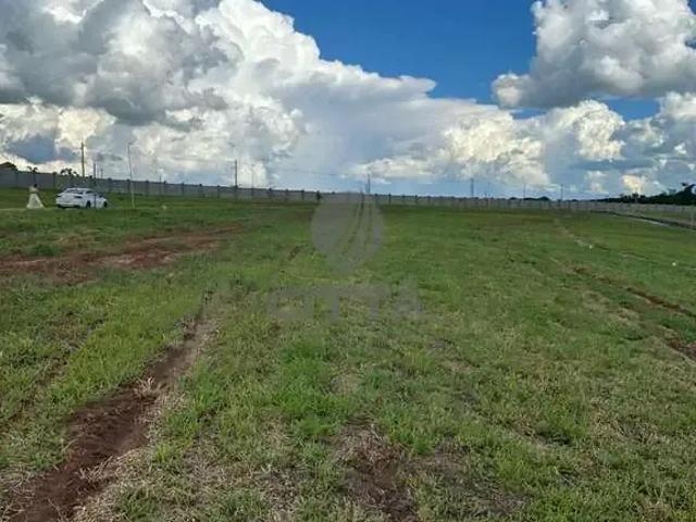 Terreno em Condomínio para Venda em Campinas/SP Loteamento Alphaville Campinas