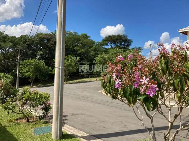 Terreno em Condomínio para Venda em Campinas/SP Loteamento Alphaville Campinas