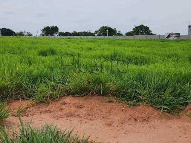Terreno em Condomínio para Venda em Campinas/SP Loteamento Alphaville Campinas