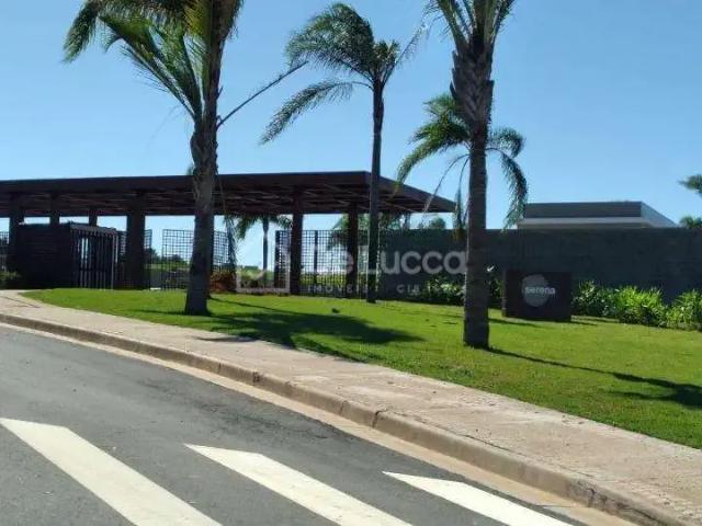 Terreno em Condomínio para Venda em Campinas/SP Loteamento Alphaville Campinas