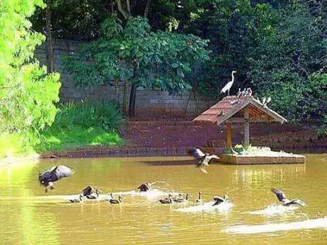 Terreno em Condomínio para Venda em Campinas/SP Loteamento Residencial Barão do Café