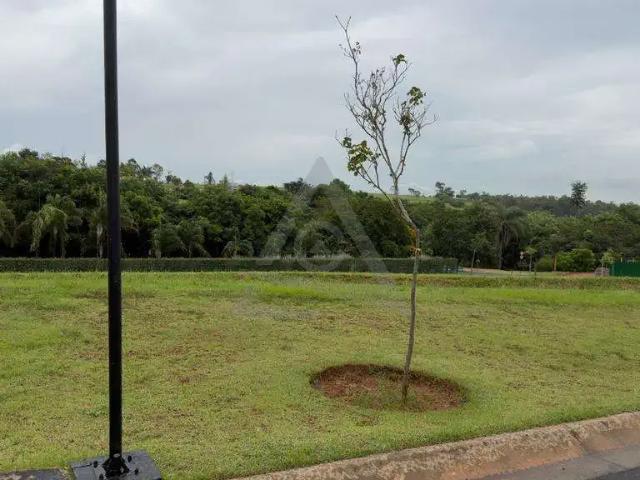 Terreno em Condomínio para Venda em Campinas/SP Loteamento Residencial Pedra Alta Sousas