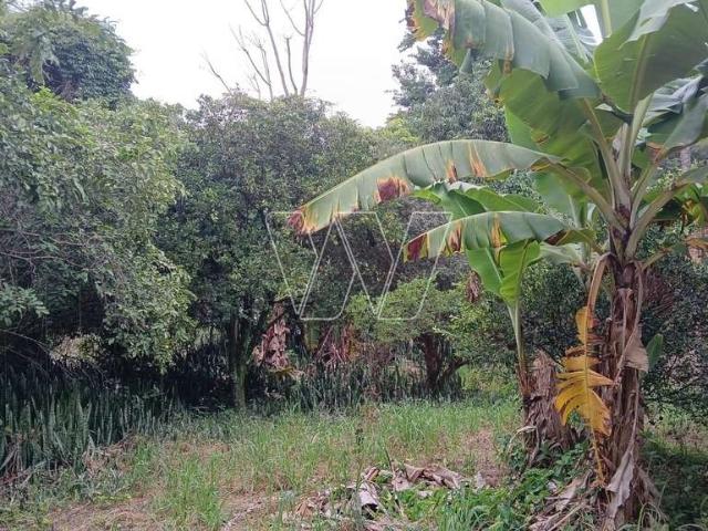 Terreno em Condomínio para Venda em Campinas/SP Parque Jatibaia Sousas