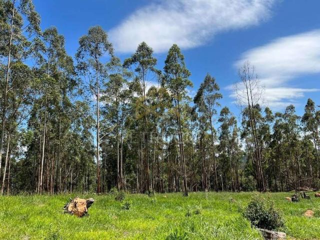 Terreno em Condomínio para Venda em Campinas/SP Sousas