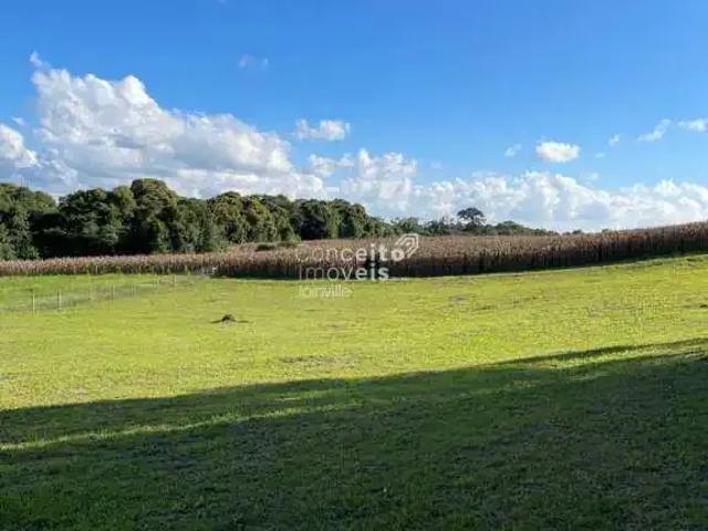 Terreno em Condomínio para Venda em Campo Alegre/SC Lageado