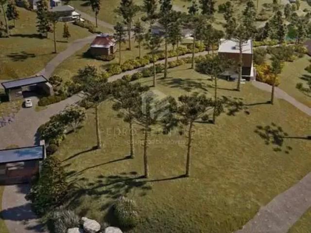 Terreno em Condomínio para Venda em Campo Alegre/SC Lageado
