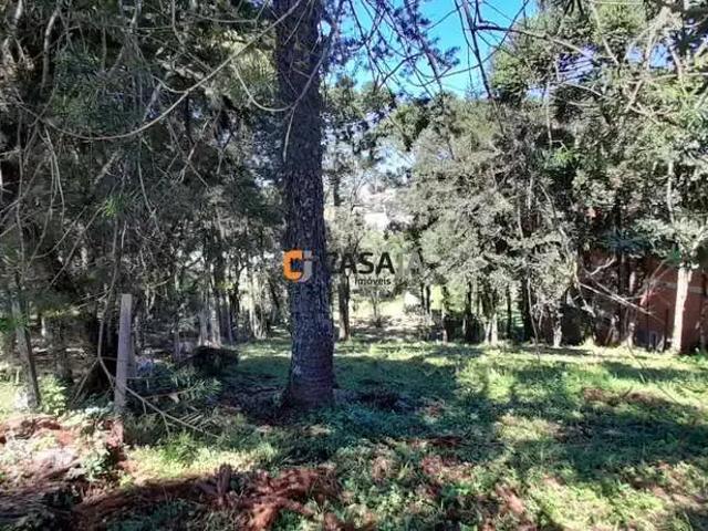 Terreno em Condomínio para Venda em Campo Largo/PR Moradias Bom Jesus