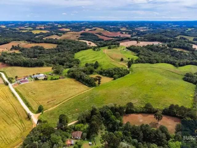 Terreno em Condomínio para Venda em Campo Largo/PR Ferraria
