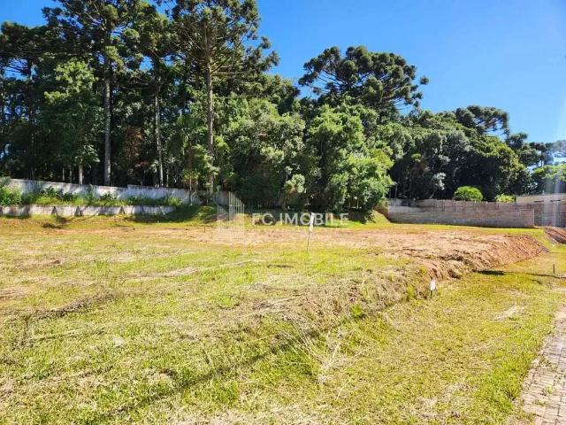 Terreno em Condomínio para Venda em Campo Largo/PR Ferraria