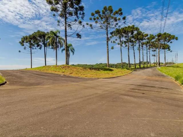 Terreno em Condomínio para Venda em Campo Largo/PR Ferraria