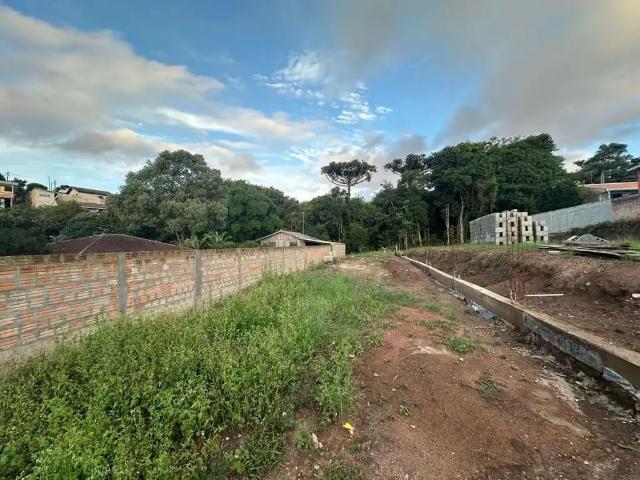 Terreno em Condomínio para Venda em Campo Largo/PR Loteamento Santa Ana