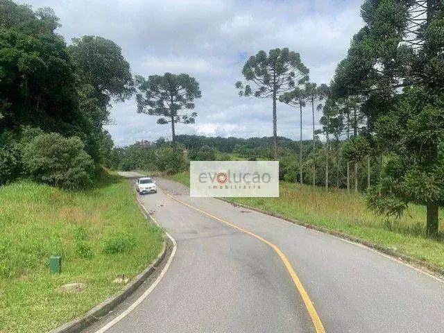 Terreno em Condomínio para Venda em Campo Largo/PR Vila Conceição