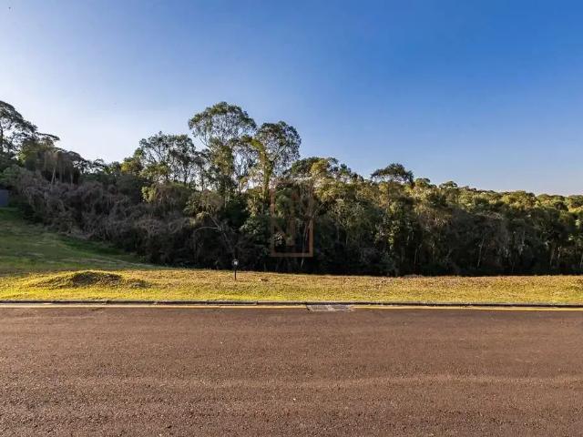 Terreno em Condomínio para Venda em Campo Magro/PR Jardim Cecília