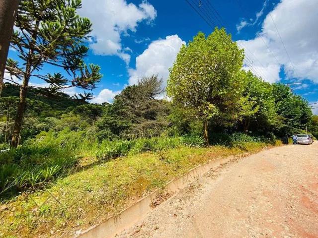 Terreno em Condomínio para Venda em Campos do Jordão/SP Nova Capivari