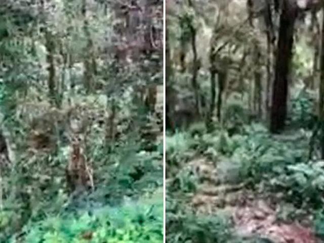 Terreno em Condomínio para Venda em Campos do Jordão/SP Jardim das Pérolas