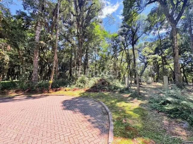 Terreno em Condomínio para Venda em Canela/RS Bosque Sinoserra