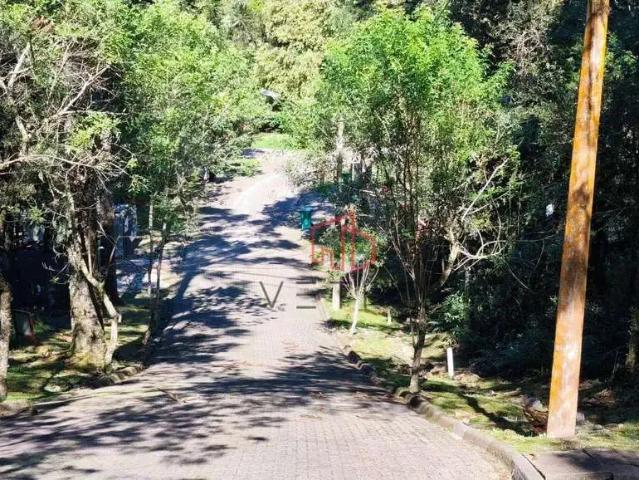 Terreno em Condomínio para Venda em Canela/RS Bosque Sinoserra