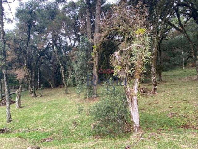Terreno em Condomínio para Venda em Canela/RS Centro