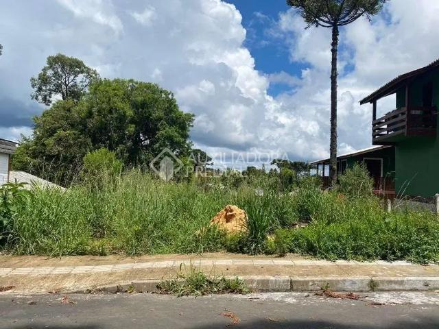 Terreno em Condomínio para Venda em Canela/RS Centro