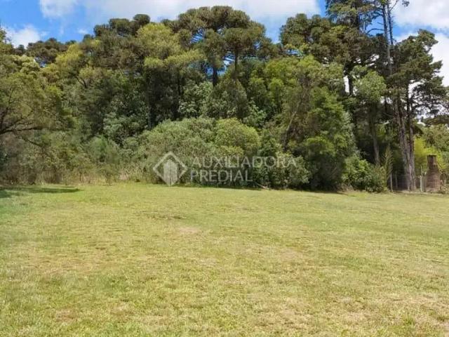 Terreno em Condomínio para Venda em Canela/RS Centro