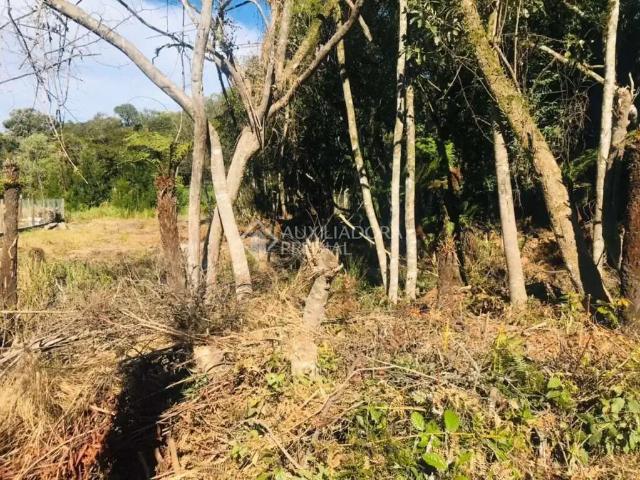 Terreno em Condomínio para Venda em Canela/RS Centro
