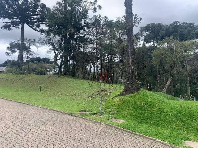 Terreno em Condomínio para Venda em Canela/RS Centro
