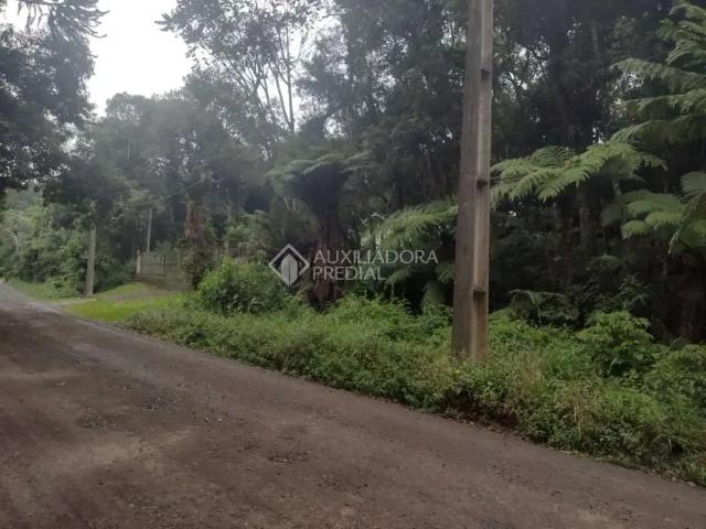 Terreno em Condomínio para Venda em Canela/RS Centro