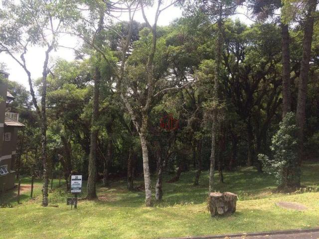 Terreno em Condomínio para Venda em Canela/RS Centro
