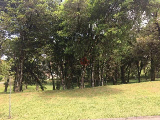 Terreno em Condomínio para Venda em Canela/RS Centro