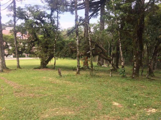 Terreno em Condomínio para Venda em Canela/RS Centro