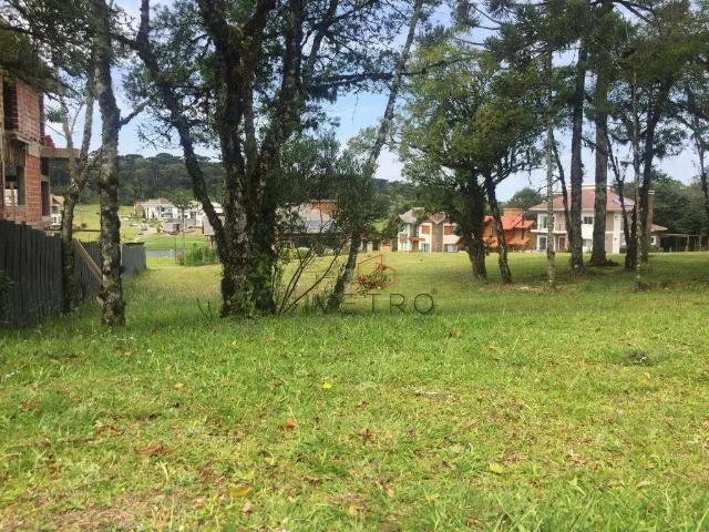 Terreno em Condomínio para Venda em Canela/RS Centro