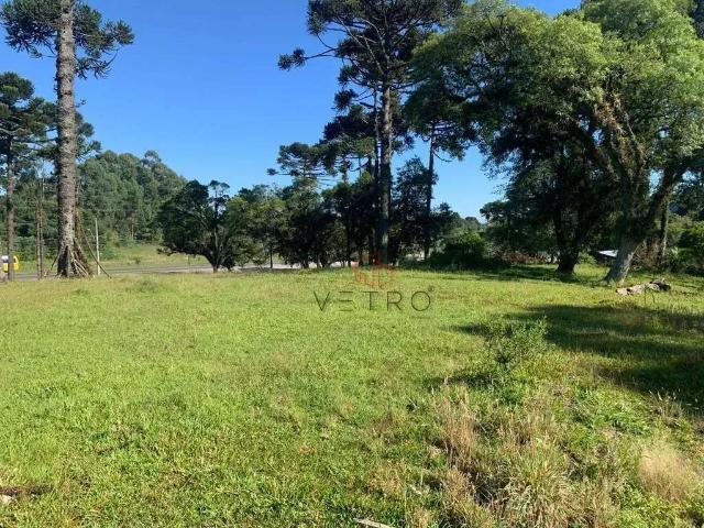 Terreno em Condomínio para Venda em Canela/RS Jardim Mariana