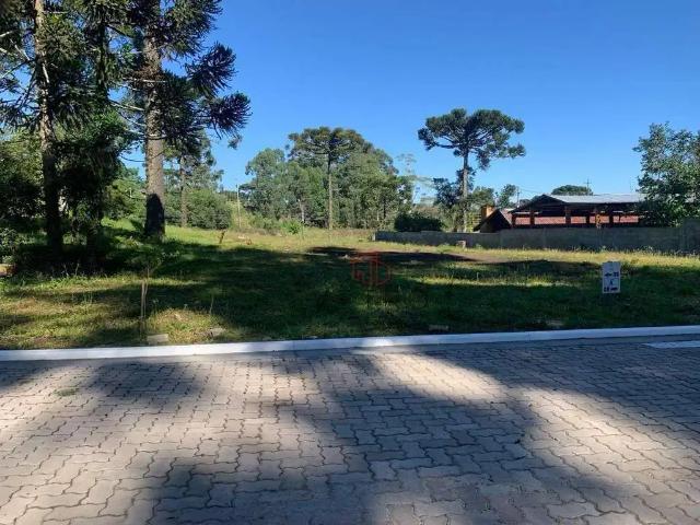 Terreno em Condomínio para Venda em Canela/RS Jardim Mariana