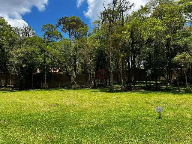 Terreno em Condomínio para Venda em Canela/RS Jardim Mariana