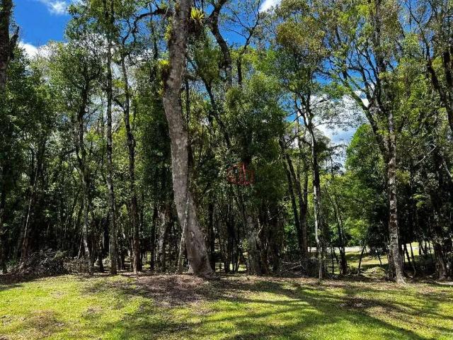 Terreno em Condomínio para Venda em Canela/RS Jardim Mariana