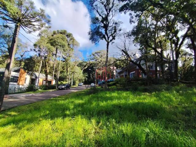 Terreno em Condomínio para Venda em Canela/RS Parque Pinheiro Grosso