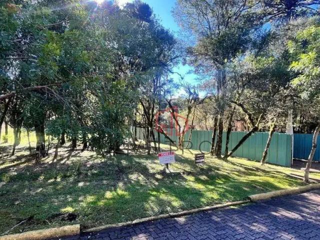 Terreno em Condomínio para Venda em Canela/RS Parque Pinheiro Grosso