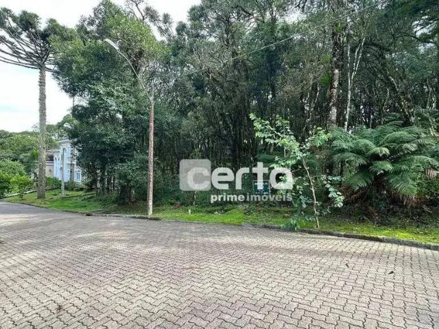 Terreno em Condomínio para Venda em Canela/RS Pinheiro Grosso