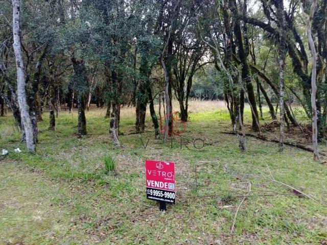 Terreno em Condomínio para Venda em Canela/RS Parque Pinheiro Grosso