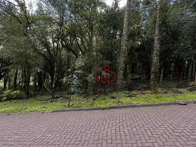 Terreno em Condomínio para Venda em Canela/RS Parque Pinheiro Grosso