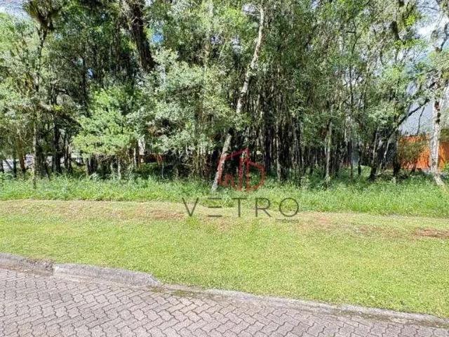 Terreno em Condomínio para Venda em Canela/RS Parque Pinheiro Grosso