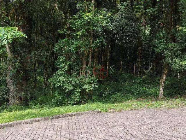 Terreno em Condomínio para Venda em Canela/RS Parque Pinheiro Grosso