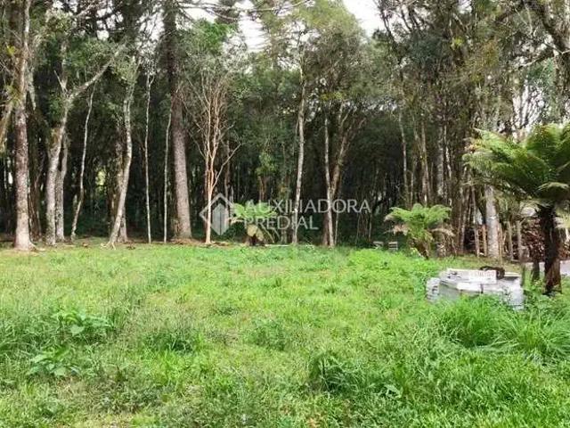Terreno em Condomínio para Venda em Canela/RS Parque Pinheiro Grosso
