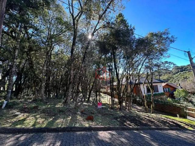 Terreno em Condomínio para Venda em Canela/RS Pinheiro Grosso