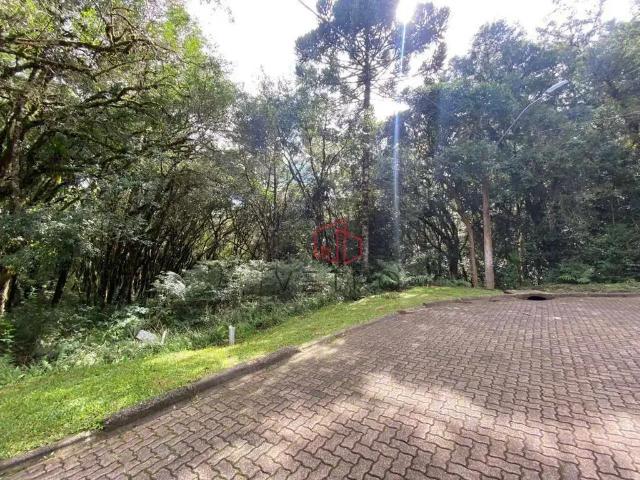 Terreno em Condomínio para Venda em Canela/RS Parque Pinheiro Grosso