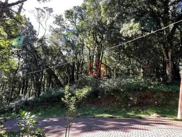 Terreno em Condomínio para Venda em Canela/RS Parque Pinheiro Grosso