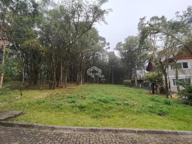 Terreno em Condomínio para Venda em Canela/RS Parque Pinheiro Grosso