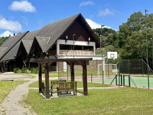 Terreno em Condomínio para Venda em Canela/RS Parque Pinheiro Grosso