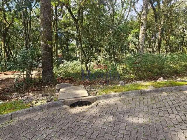 Terreno em Condomínio para Venda em Canela/RS Pinheiro Grosso