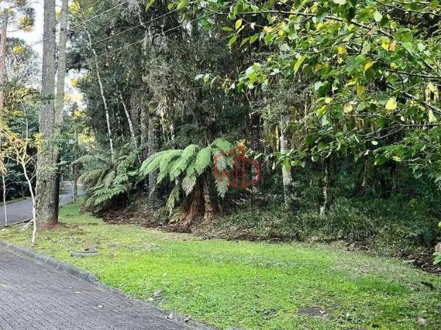 Terreno em Condomínio para Venda em Canela/RS Pinheiro Grosso